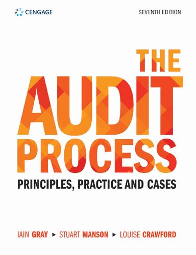Ebook – The Audit Process (PDF Instant Download) – Manybook Shop