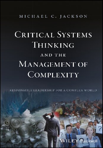 Ebook – Critical Systems Thinking and the Management of Complexity: Responsible Leadership for a ...